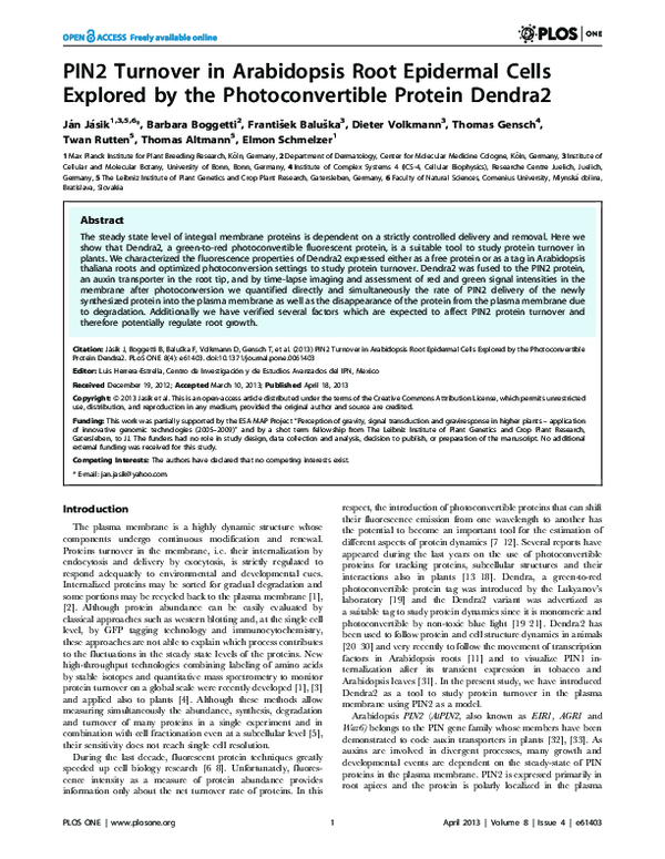 (PDF) PIN2 Turnover in Arabidopsis Root Epidermal Cells Explored by the ...