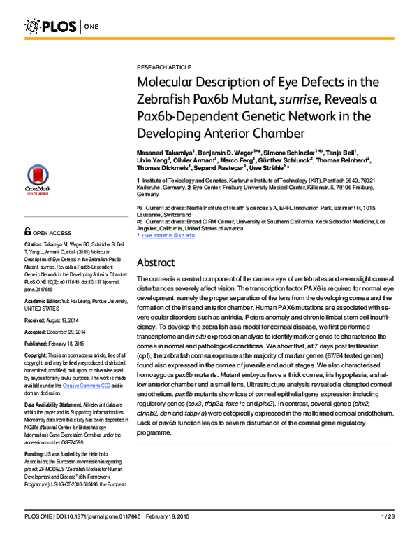 (PDF) Molecular Description of Eye Defects in the Zebrafish Pax6b ...