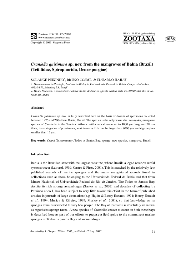 (PDF) First record of Plakortis Schulze (Porifera: Homosclerophorida ...
