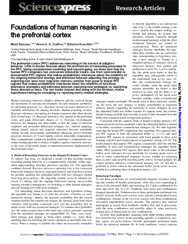 (PDF) Human cognition. Foundations of human reasoning in the prefrontal cortex