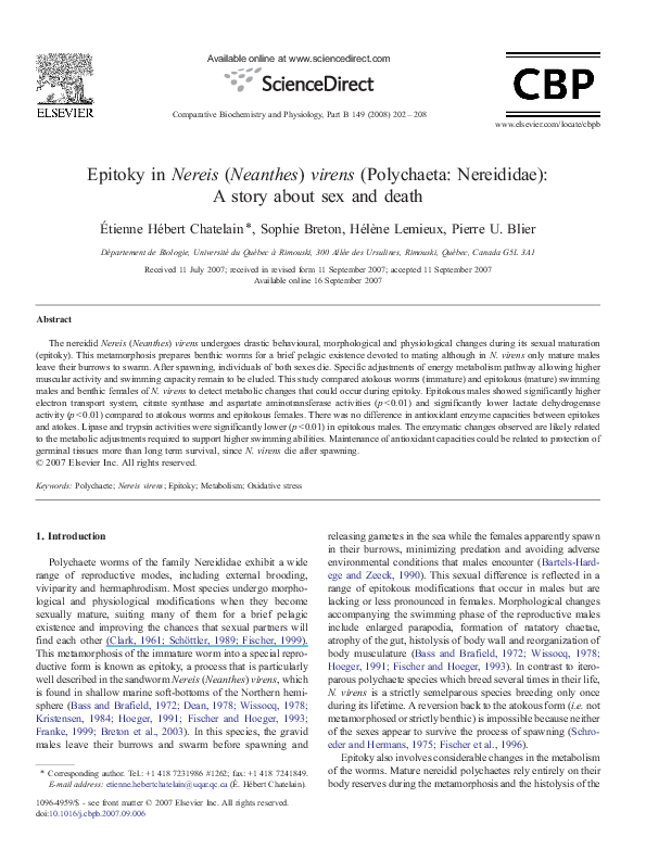(PDF) Epitoky in Nereis (Neanthes) virens (Polychaeta: Nereididae): A ...