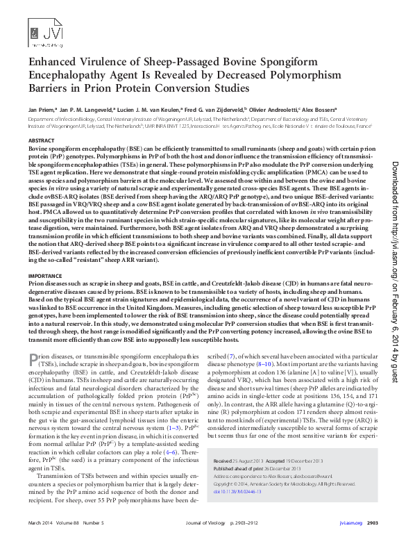 (PDF) Enhanced Virulence of Sheep-Passaged Bovine Spongiform ...