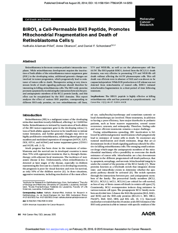 (PDF) BIRO1, a cell-permeable BH3 peptide, promotes mitochondrial ...