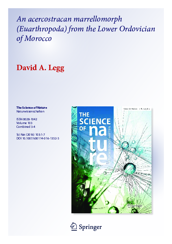 (PDF) An acercostracan marrellomorph (Euarthropoda) from the Lower ...