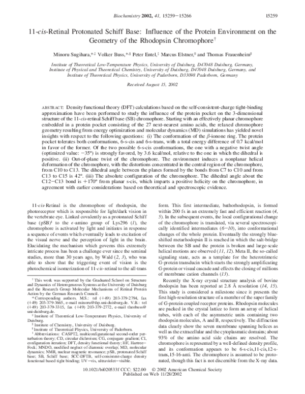 (PDF) 11- cis -Retinal Protonated Schiff Base: Influence of the Protein ...
