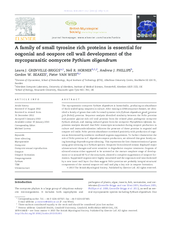 (PDF) A family of small tyrosine rich proteins is essential for oogonial and oospore cell wall ...