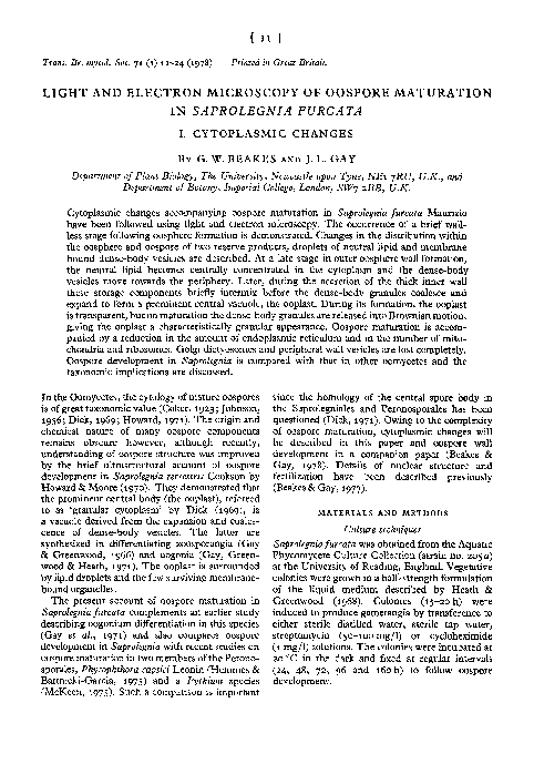 (PDF) Light and electron microscopy of oospore maturation in ...