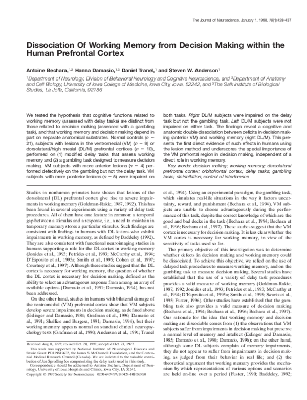 Pdf Dissociation Of Working Memory From Decision Making Within The Human Prefrontal Cortex A