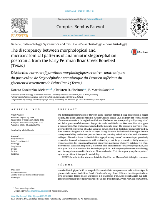 (PDF) The discrepancy between morphological and microanatomical ...