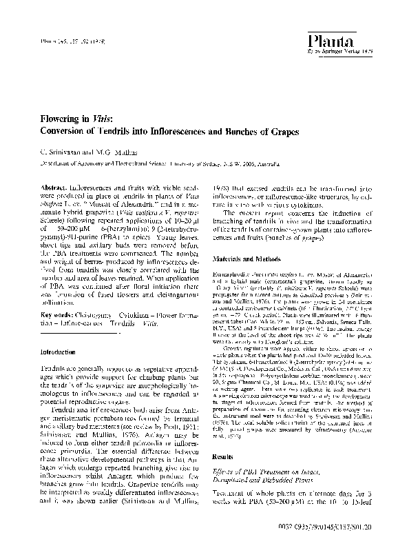 (PDF) Flowering in Vitis: Conversion of tendrils into inflorescences ...