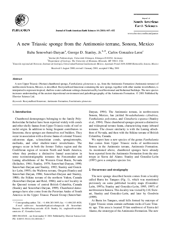 (PDF) A new Triassic sponge from the Antimonio terrane, Sonora, Mexico