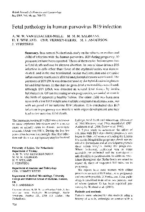 (PDF) Fetal pathology in human parvovirus B19 infection