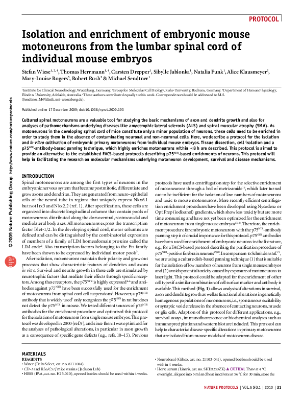 (PDF) Isolation and enrichment of embryonic mouse motoneurons from the ...