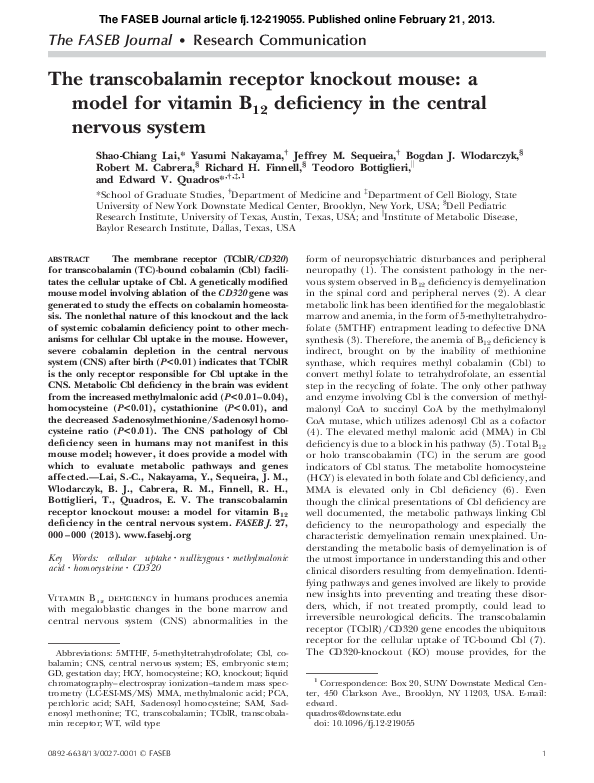 (PDF) The transcobalamin receptor knockout mouse: a model for vitamin ...