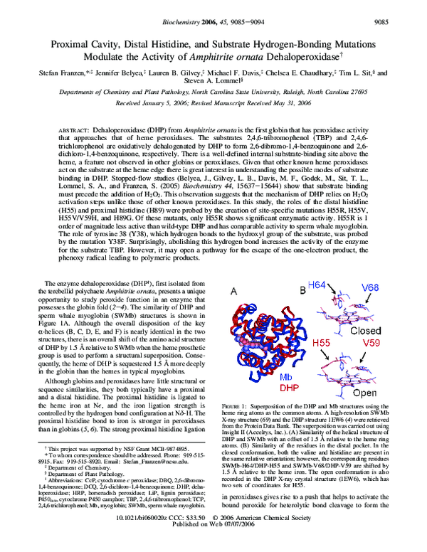(PDF) Proximal Cavity, Distal Histidine, and Substrate Hydrogen-Bonding ...