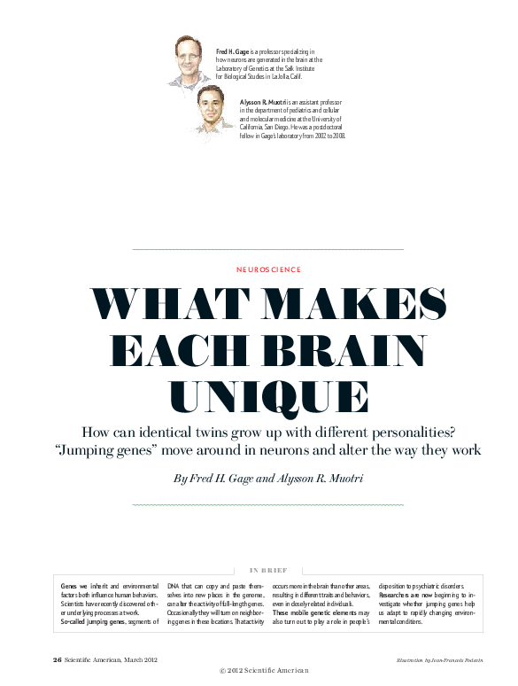 (PDF) What Makes Each Brain Unique