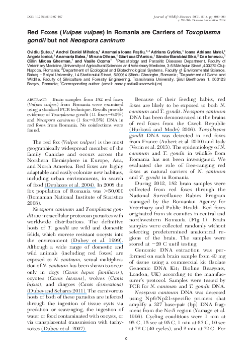 (PDF) Red Foxes ( Vulpes vulpes ) in Romania are Carriers of Toxoplasma gondii but not Neospora ...