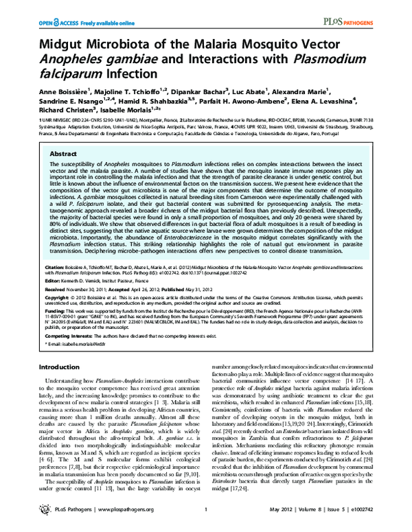 (PDF) Midgut Microbiota of the Malaria Mosquito Vector Anopheles gambiae and Interactions with ...