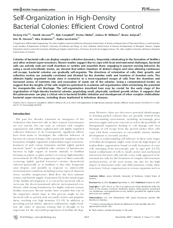 (PDF) Self-Organization in High-Density Bacterial Colonies: Efficient ...