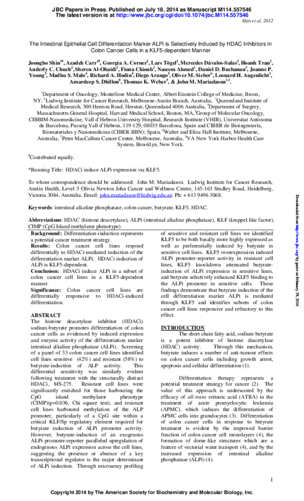 (PDF) The intestinal epithelial cell differentiation marker intestinal ...