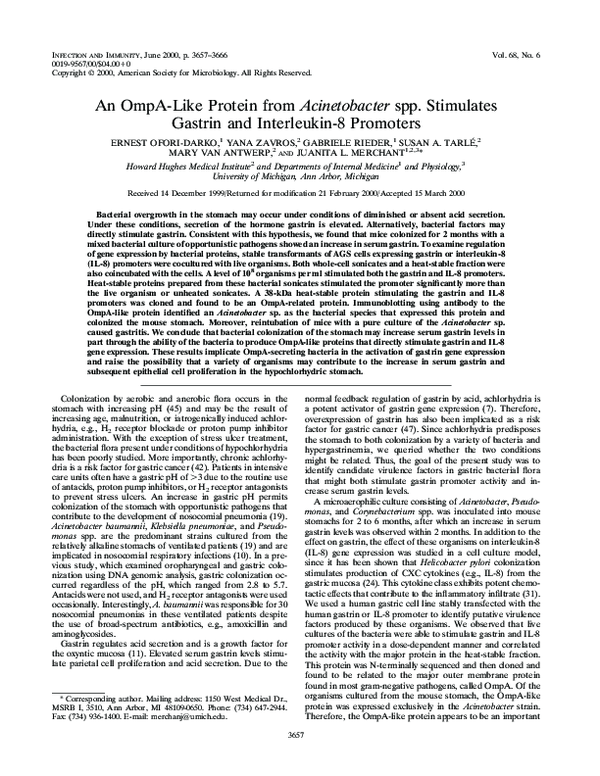 (PDF) An OmpA-Like Protein from Acinetobacter spp. Stimulates Gastrin ...