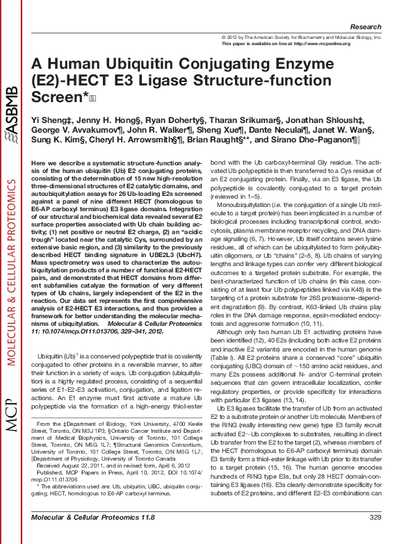 Pdf A Human Ubiquitin Conjugating Enzyme E2 Hect E3 Ligase