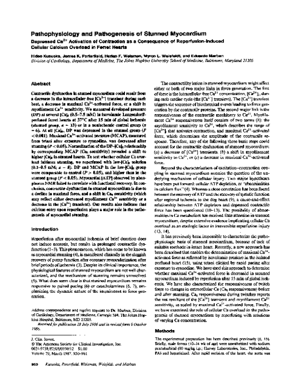(PDF) Pathophysiology and pathogenesis of stunned myocardium. Depressed ...