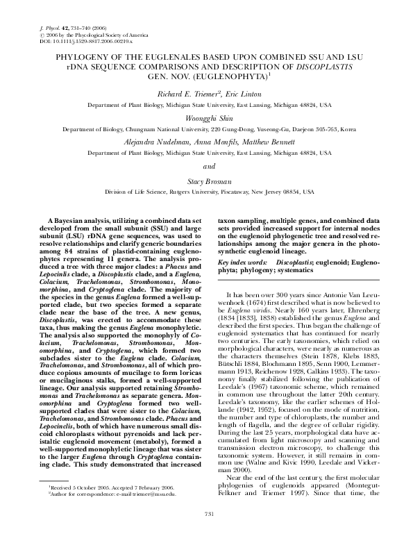 (PDF) PHYLOGENY OF THE EUGLENALES BASED UPON COMBINED SSU AND LSU RDNA ...