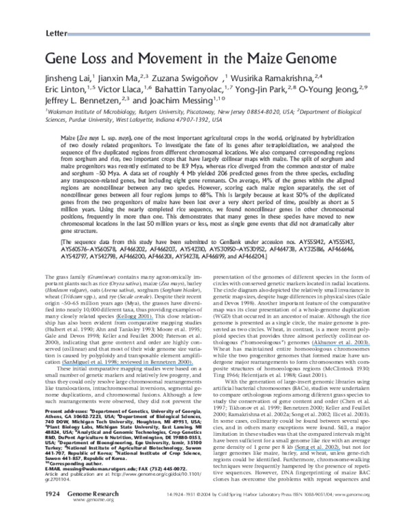(PDF) Gene Loss and Movement in the Maize Genome