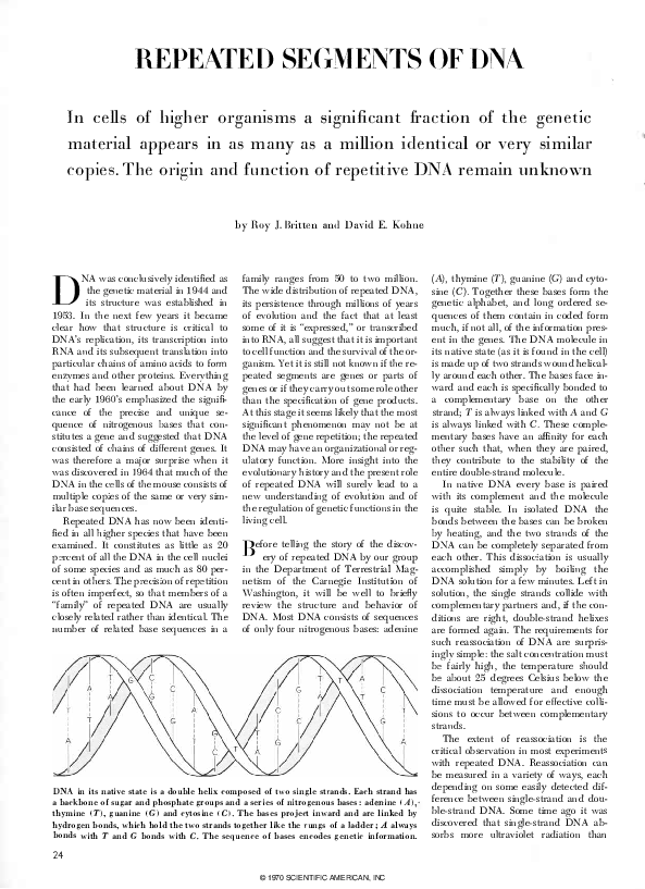 (PDF) Repeated Segments of DNA