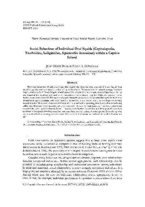(PDF) Social Behaviour of Individual Oval Squids (Cephalopoda ...