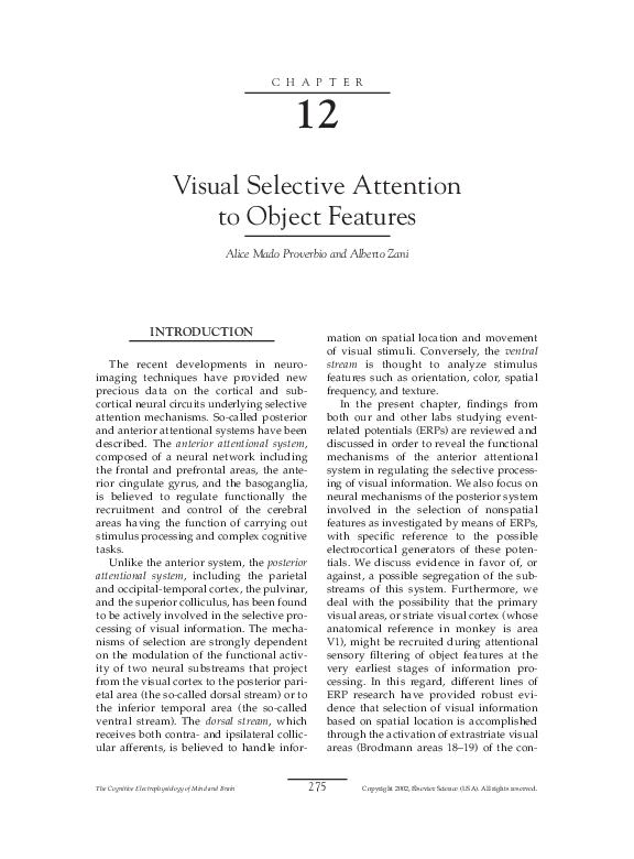 (PDF) Visual Selective Attention to Object Features
