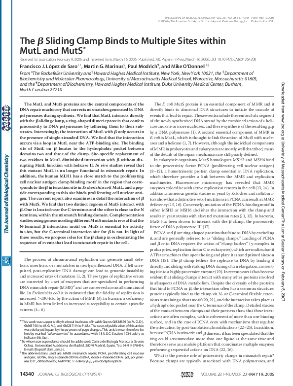 (PDF) The beta Sliding Clamp Binds to Multiple Sites within MutL and MutS
