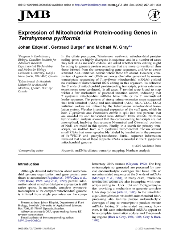 (PDF) Expression of mitochondrial protein-coding genes in Tetrahymena ...