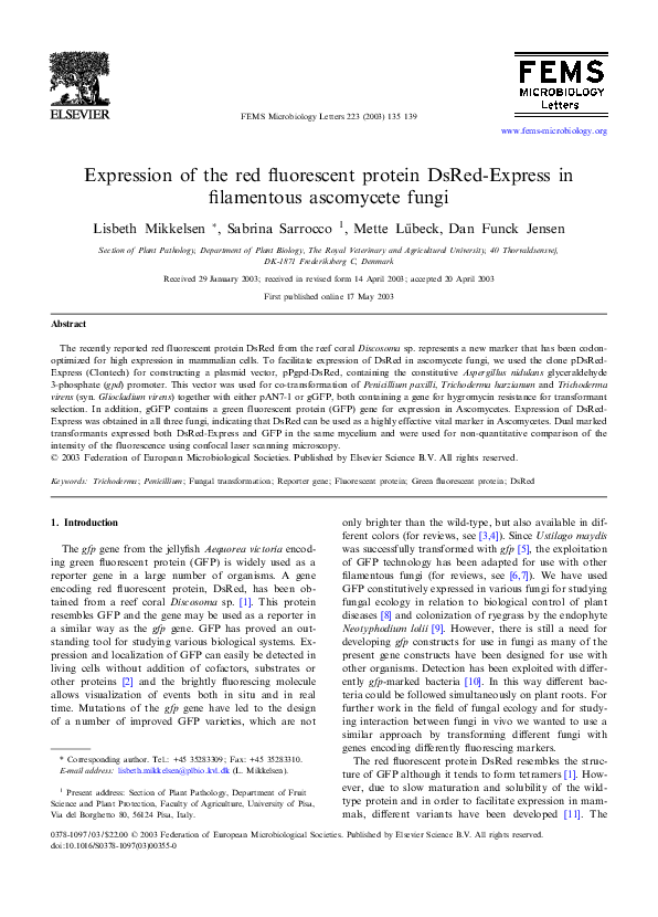 (PDF) Expression of the red fluorescent protein DsRed-Express in filamentous ascomycete fungi