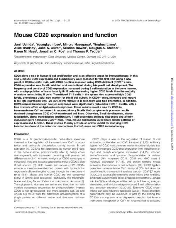 (PDF) Mouse CD20 expression and function