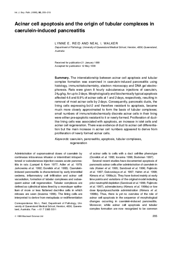 (PDF) Acinar cell apoptosis and the origin of tubular complexes in ...