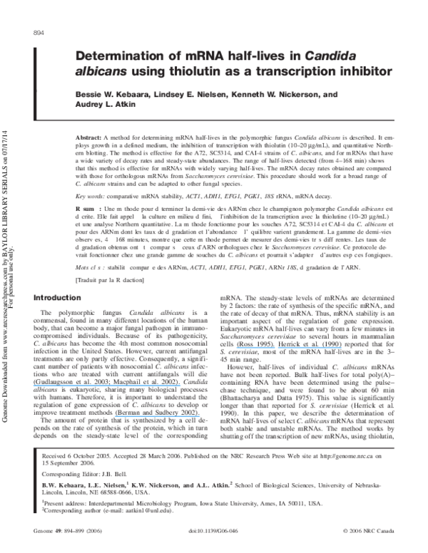 (PDF) Determination of mRNA half-lives in Candida albicans using ...
