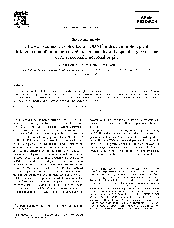 Glial-derived neurotrophic factor (GDNF) induced morphological differentiation of an ...