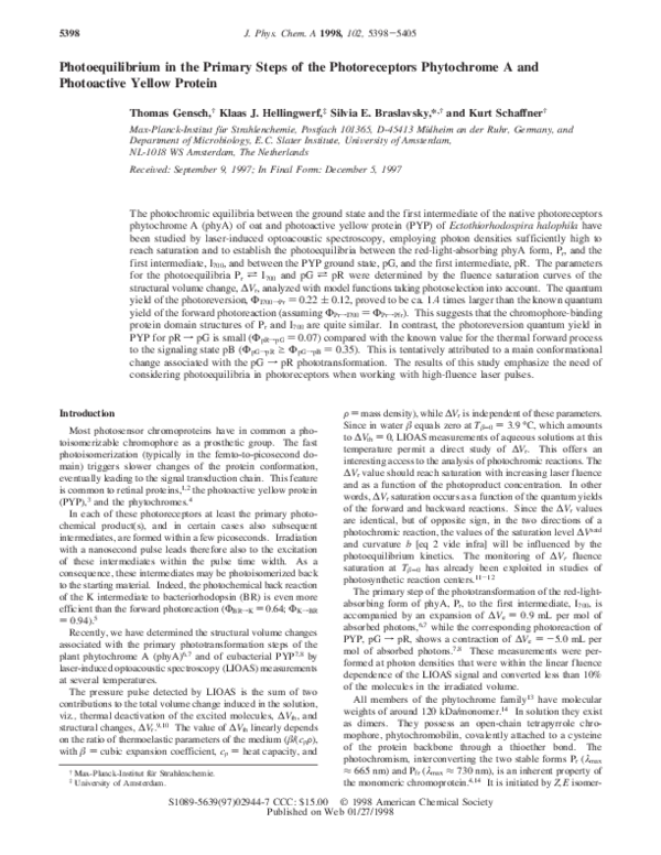 (PDF) Photoequilibrium in the Primary Steps of the Photoreceptors ...