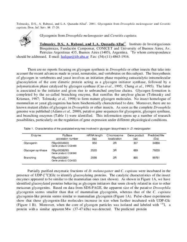 Pdf Glycogenin From Drosophila Melanogaster And Ceratitis Capitata