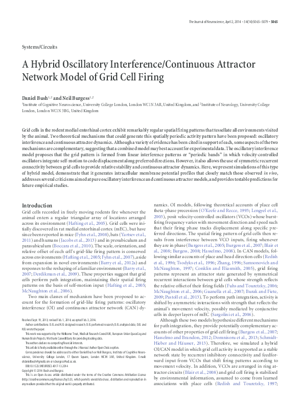 Pdf A Hybrid Oscillatory Interference Continuous Attractor Network Model Of Grid Cell Firing
