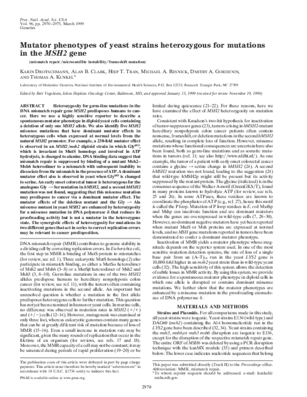 (PDF) Mutator phenotypes of yeast strains heterozygous for mutations in ...