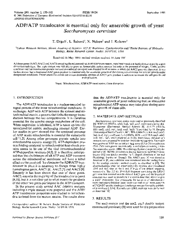 (PDF) ADP/ATP translocator is essential only for anaerobic growth of ...