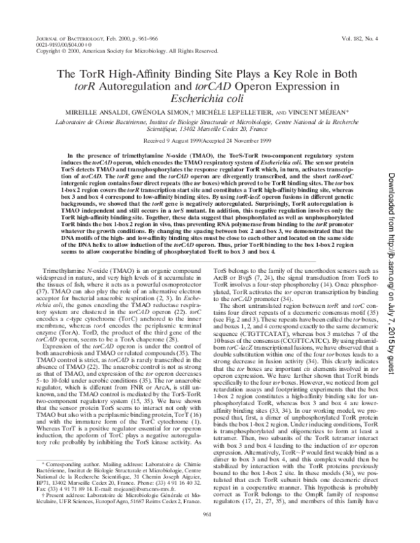 (PDF) The TorR High-Affinity Binding Site Plays a Key Role in Both torR ...