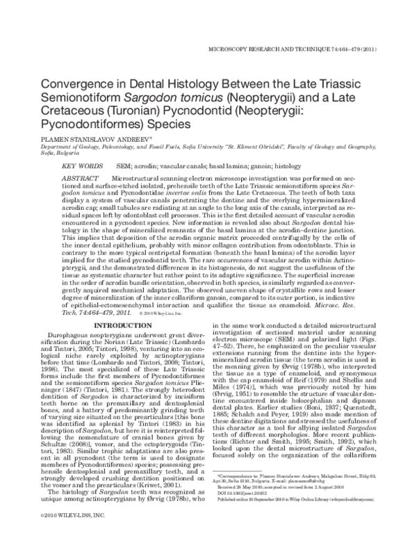 (PDF) Convergence in Dental Histology Between the Late Triassic ...