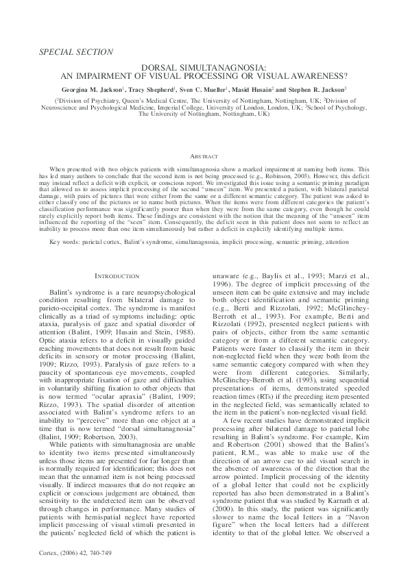 (PDF) Dorsal Simultanagnosia: an Impairment of Visual Processing or ...