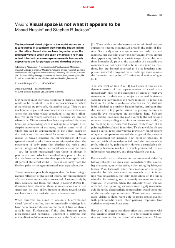 (PDF) Vision: Visual space is not what it appears to be