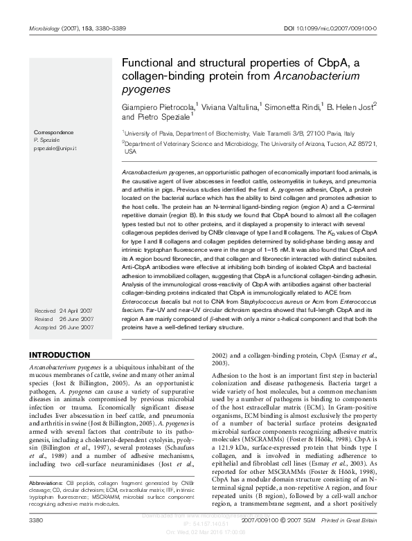 (PDF) Functional and structural properties of CbpA, a collagen-binding ...