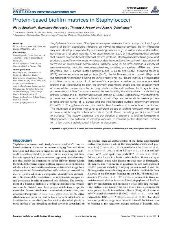 (PDF) Protein-based biofilm matrices in Staphylococci
